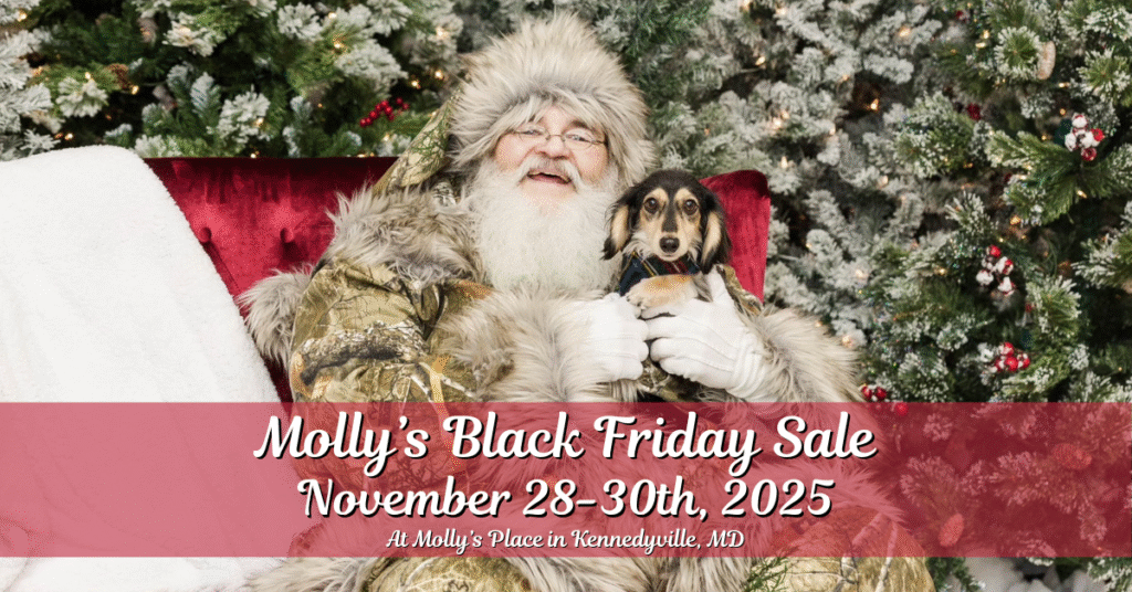 Black Friday - Molly's